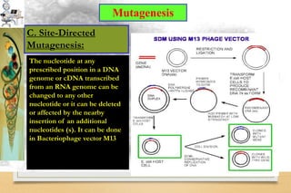 Virus Genetics3.pdf