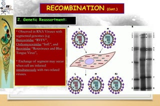 Virus Genetics3.pdf