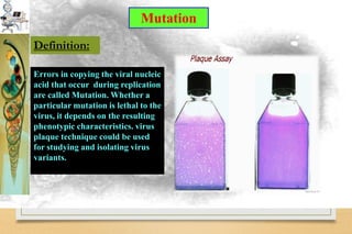 Virus Genetics3.pdf