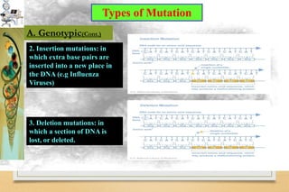Virus Genetics3.pdf