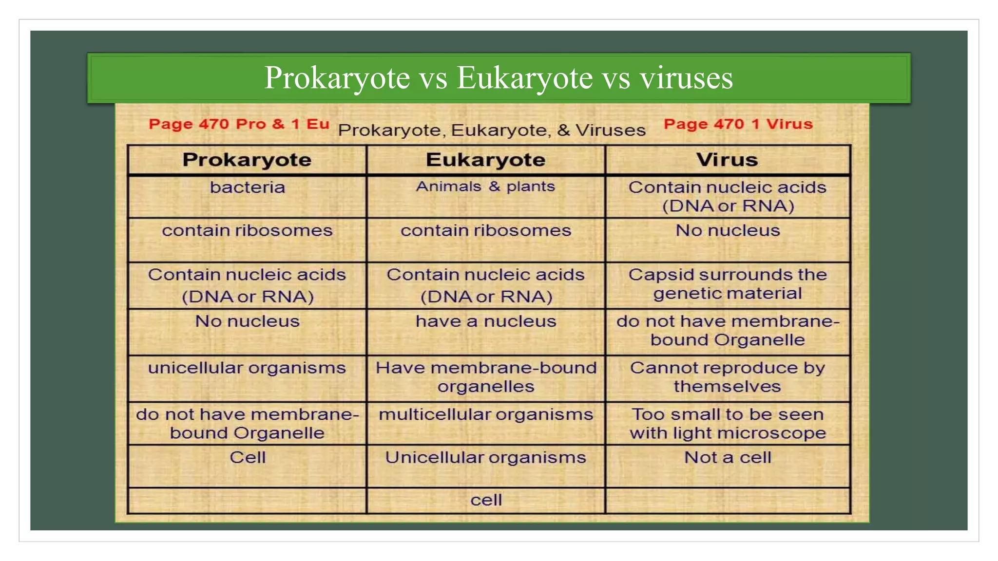 Viral genomes.pptx