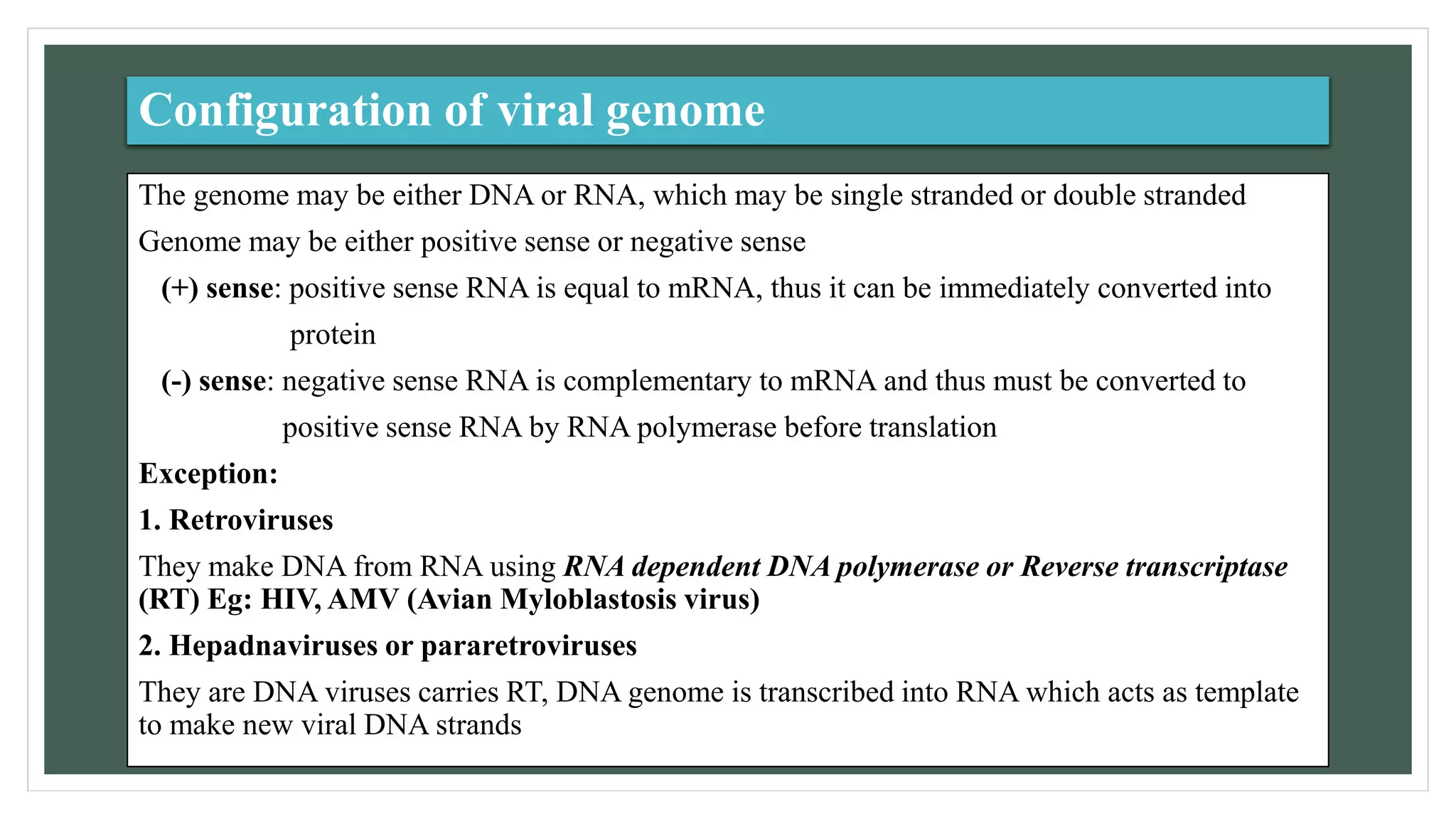Viral genomes.pptx