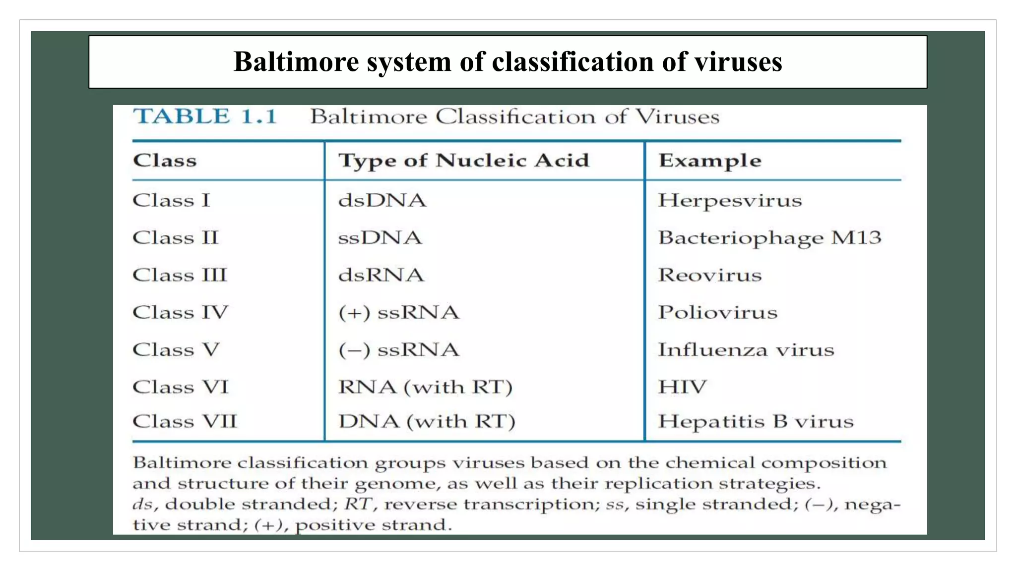 Viral genomes.pptx