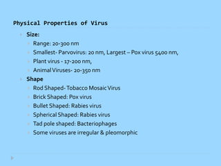 Basic Information on Virus & Hepatitis Virus | PPTX