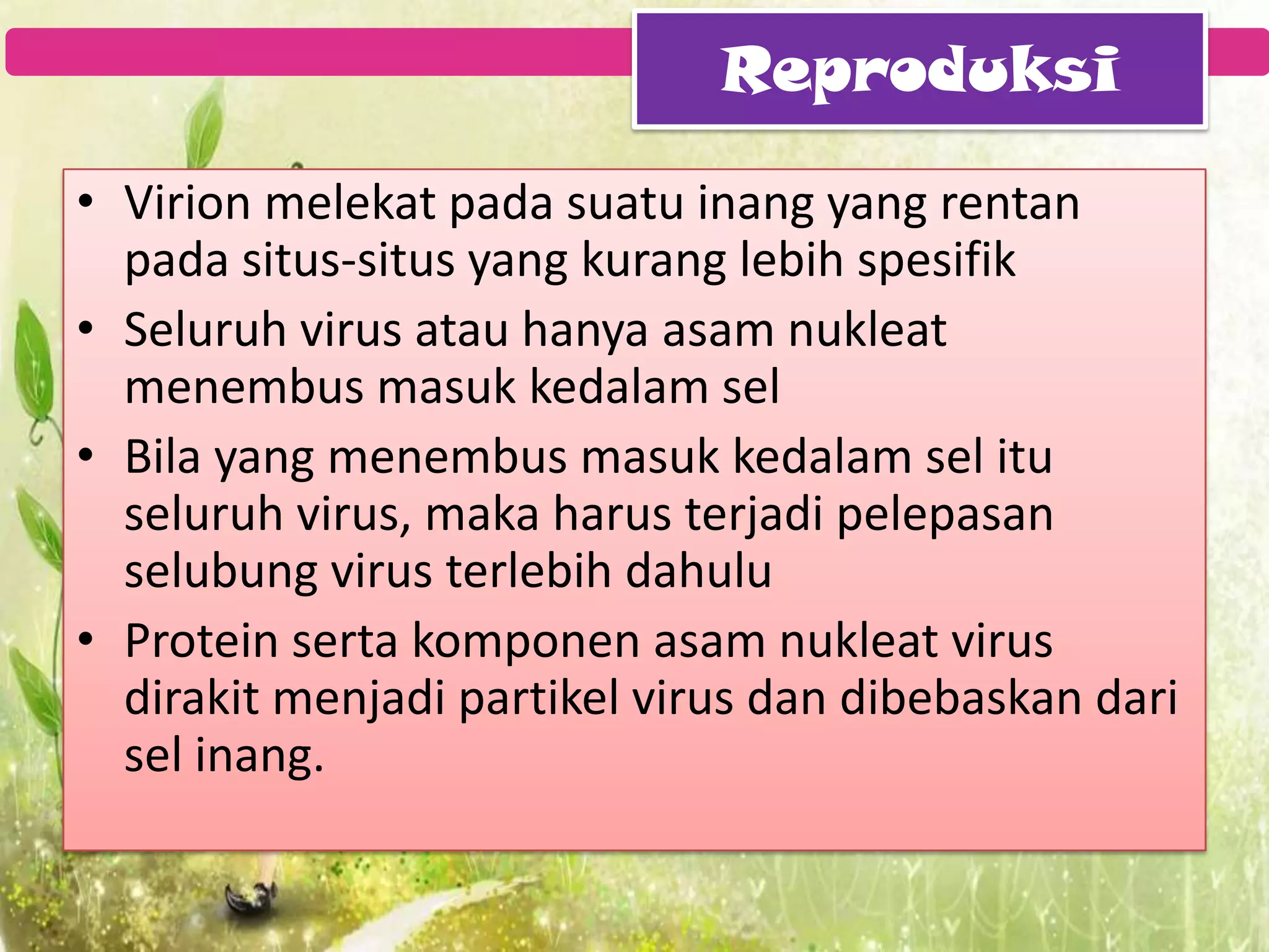 Virus hewan dan tumbuhan | PPTX