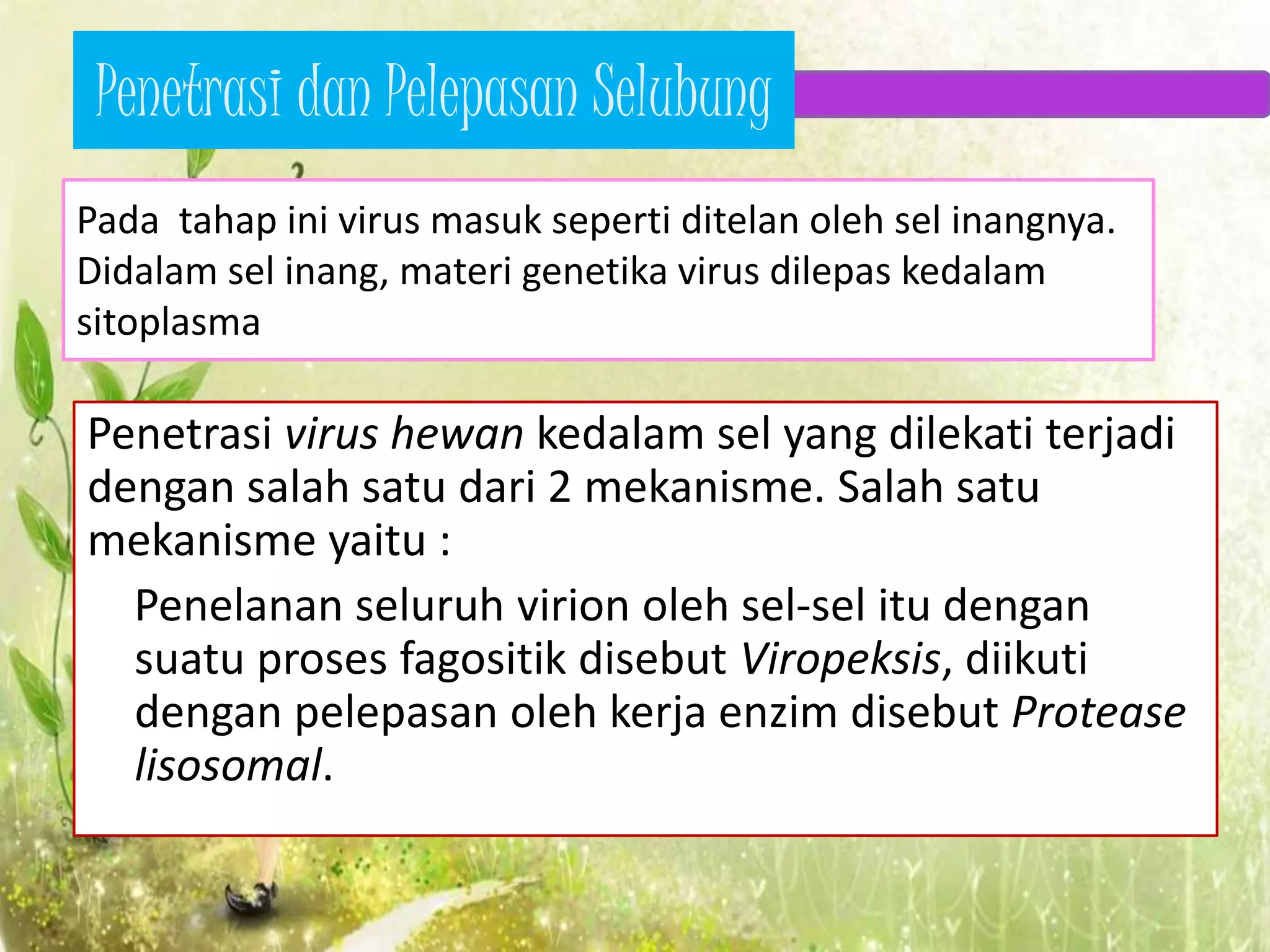 Virus hewan dan tumbuhan | PPTX