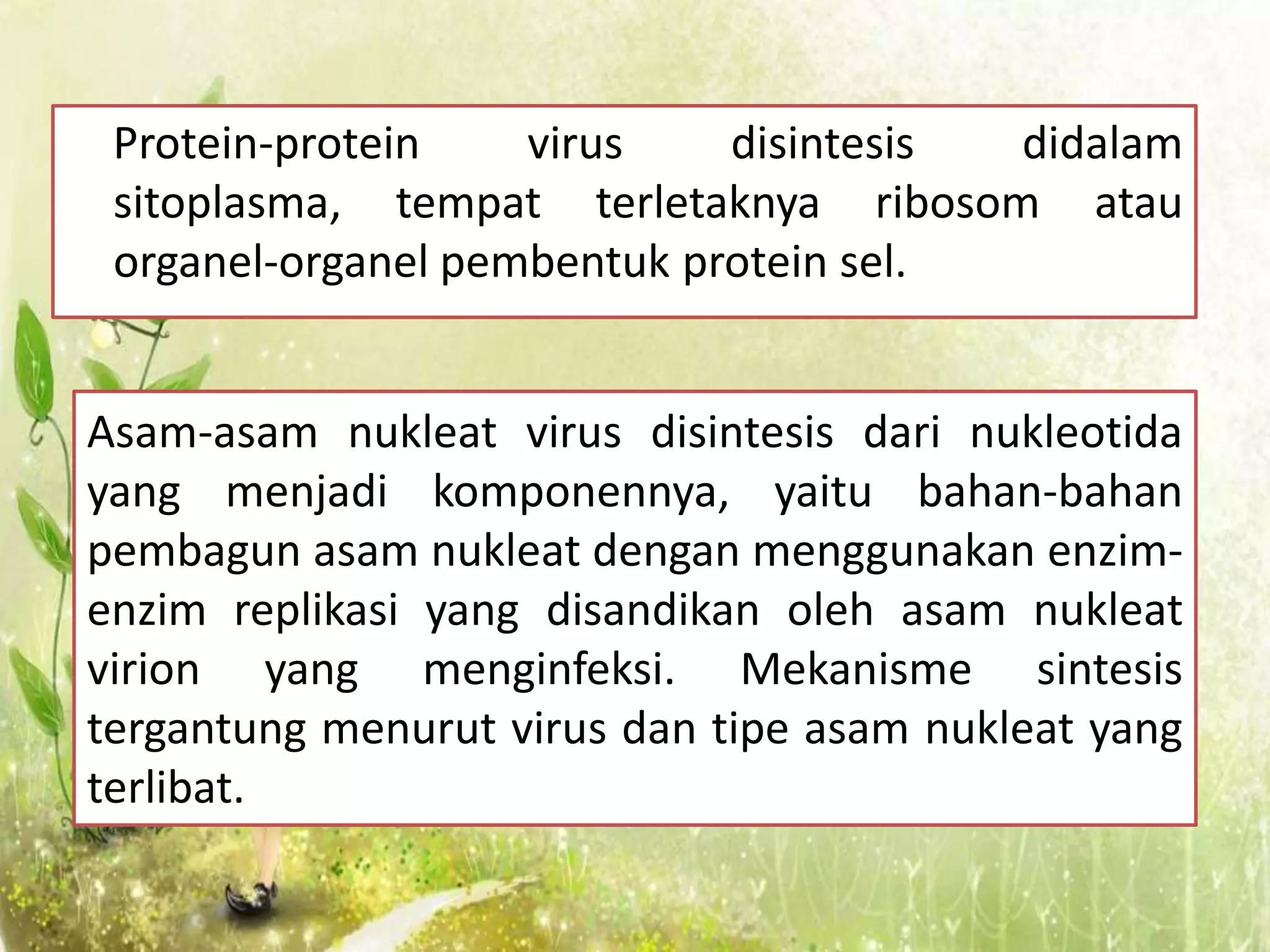 Virus hewan dan tumbuhan | PPTX