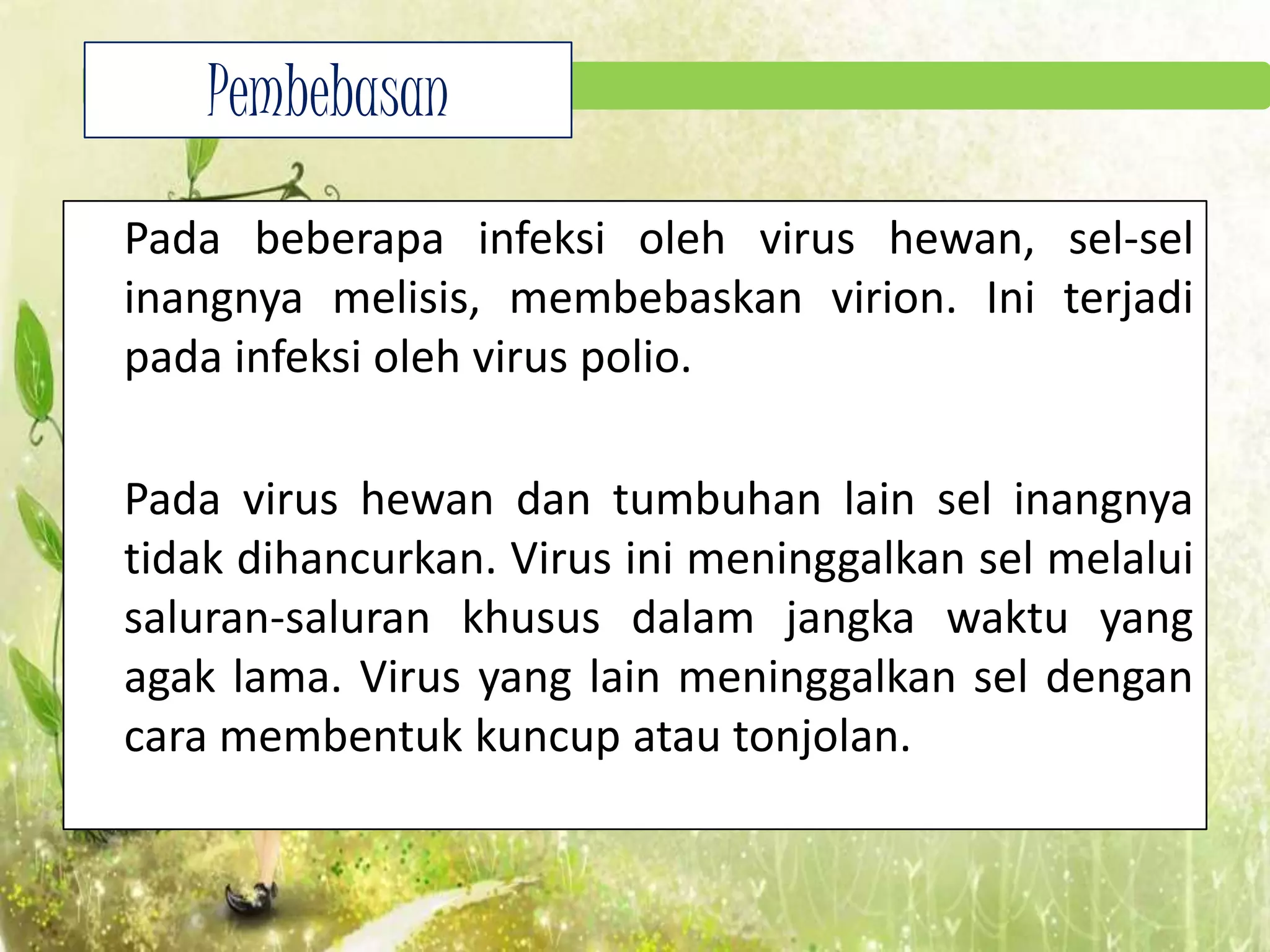 Virus hewan dan tumbuhan | PPTX