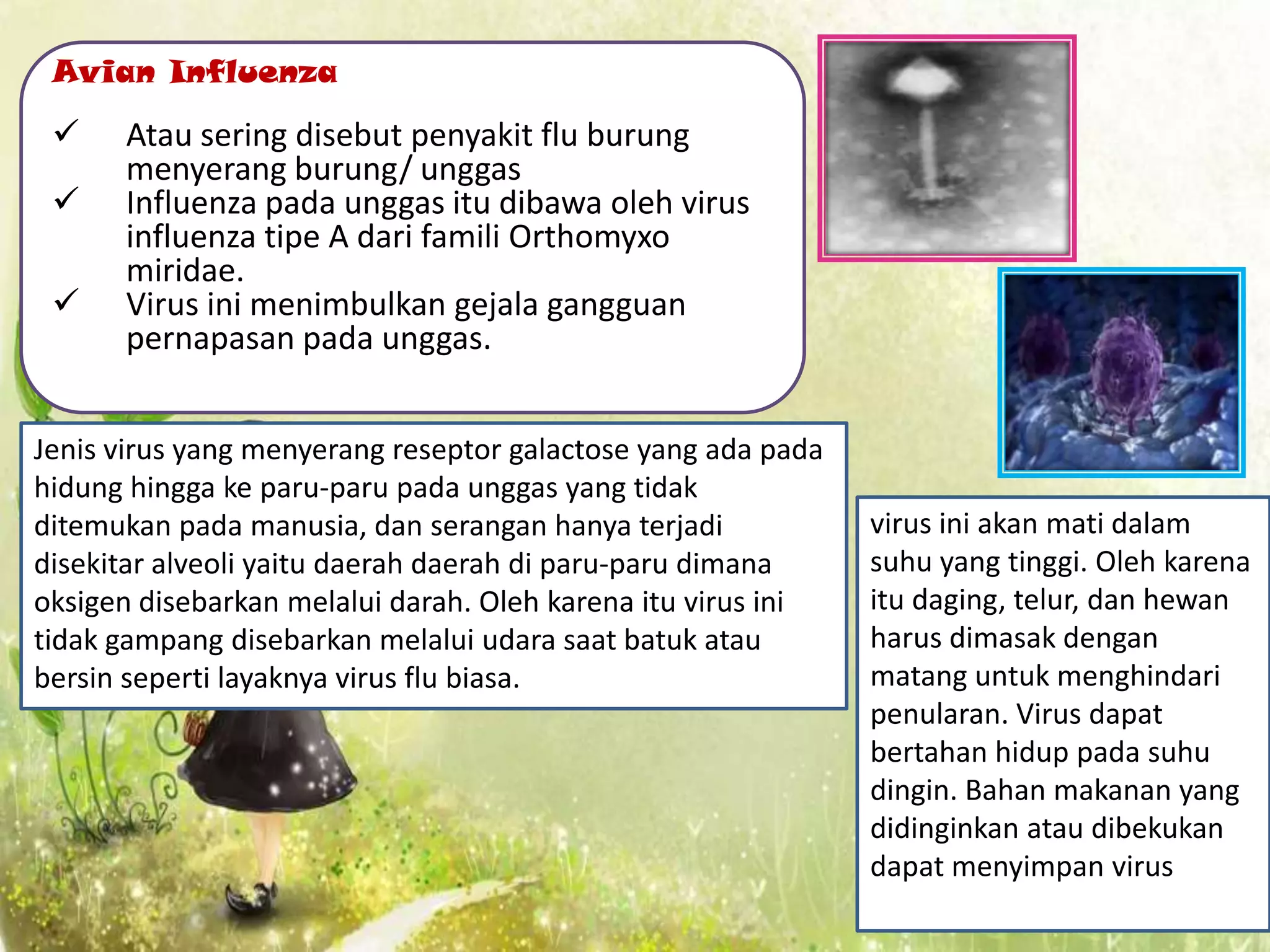 Virus hewan dan tumbuhan | PPTX