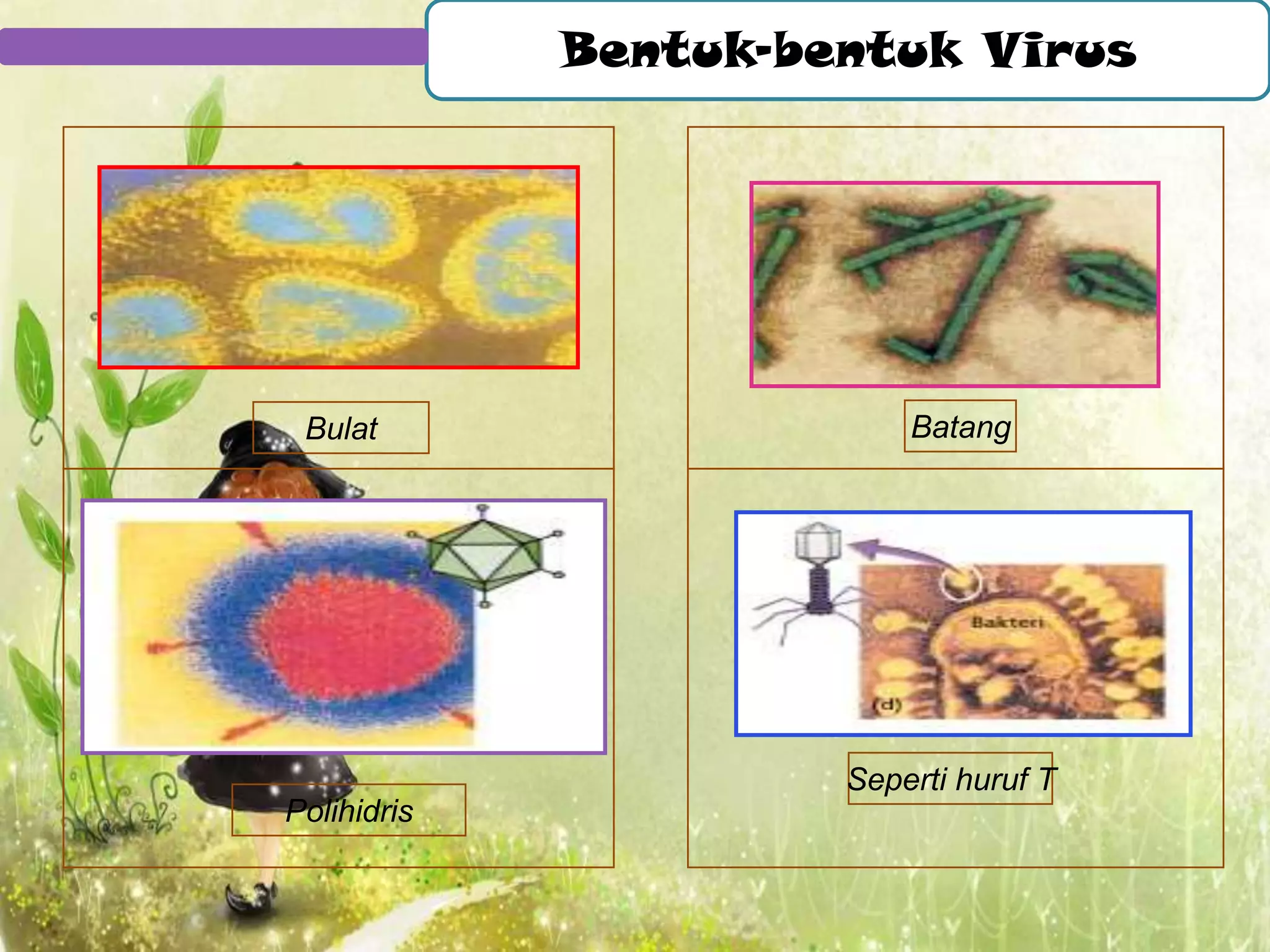 Virus hewan dan tumbuhan | PPTX