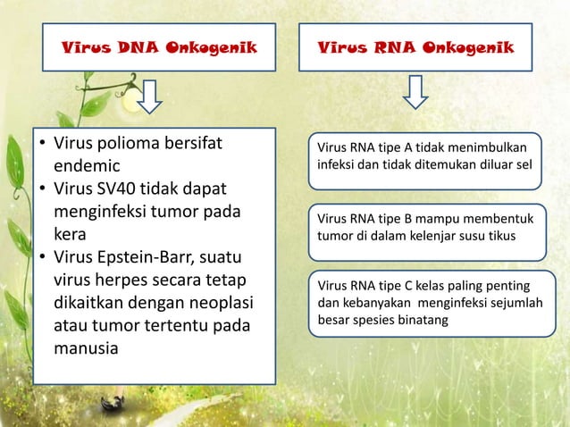 Virus hewan dan tumbuhan | PPTX