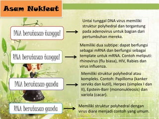 Virus hewan dan tumbuhan | PPTX