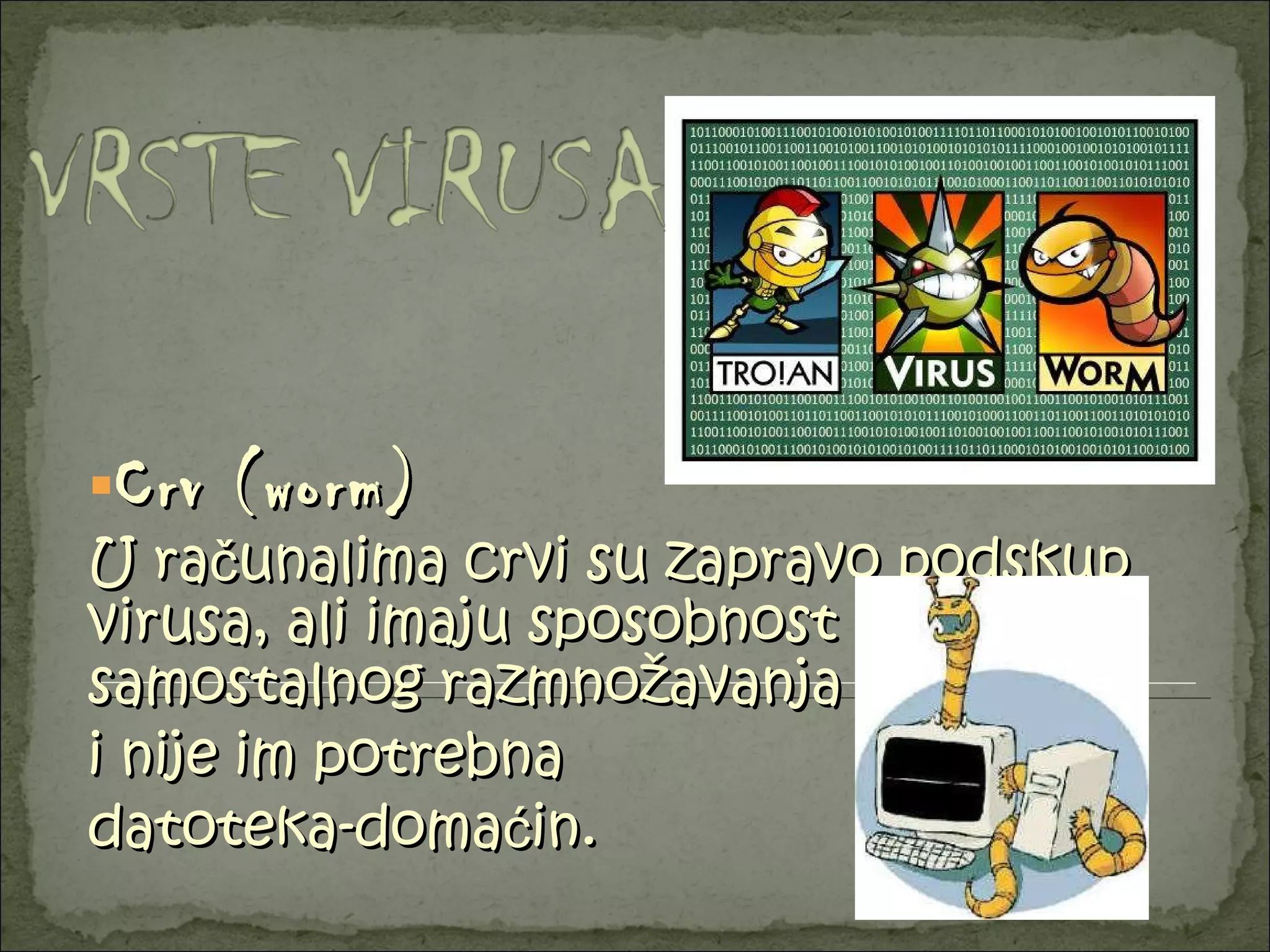 Internetske opasnosti - virusi | PPT