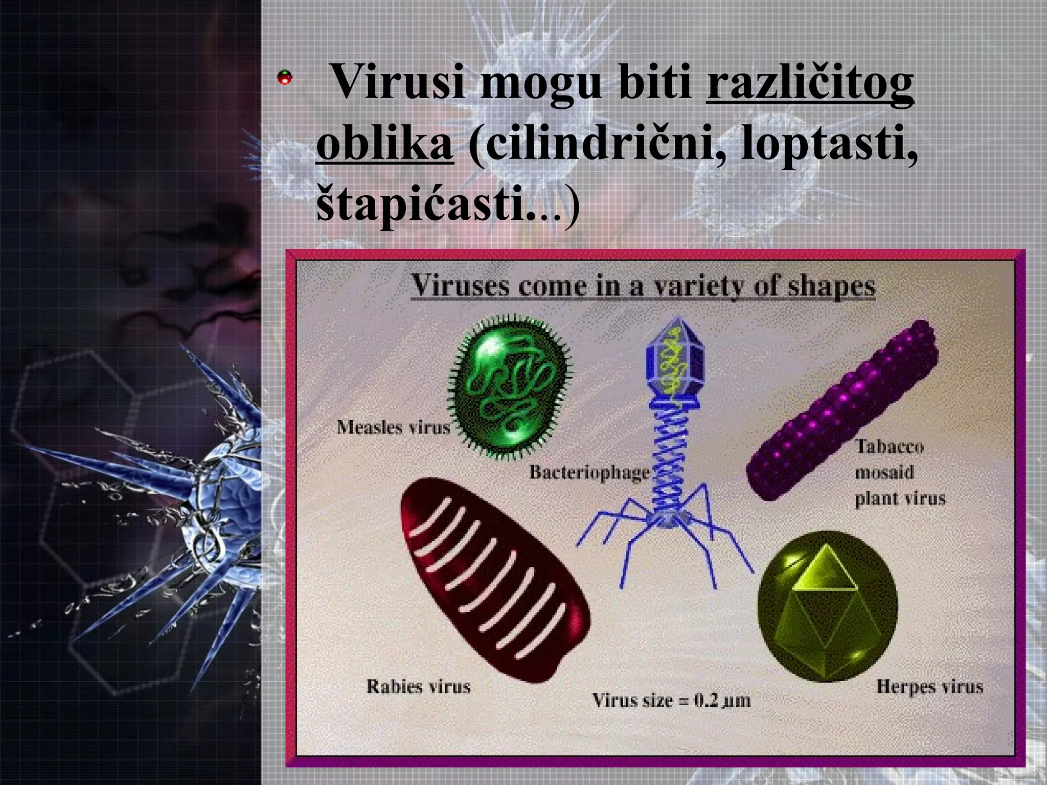 Virusi | PPT