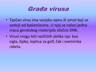 Virusi | PPTX