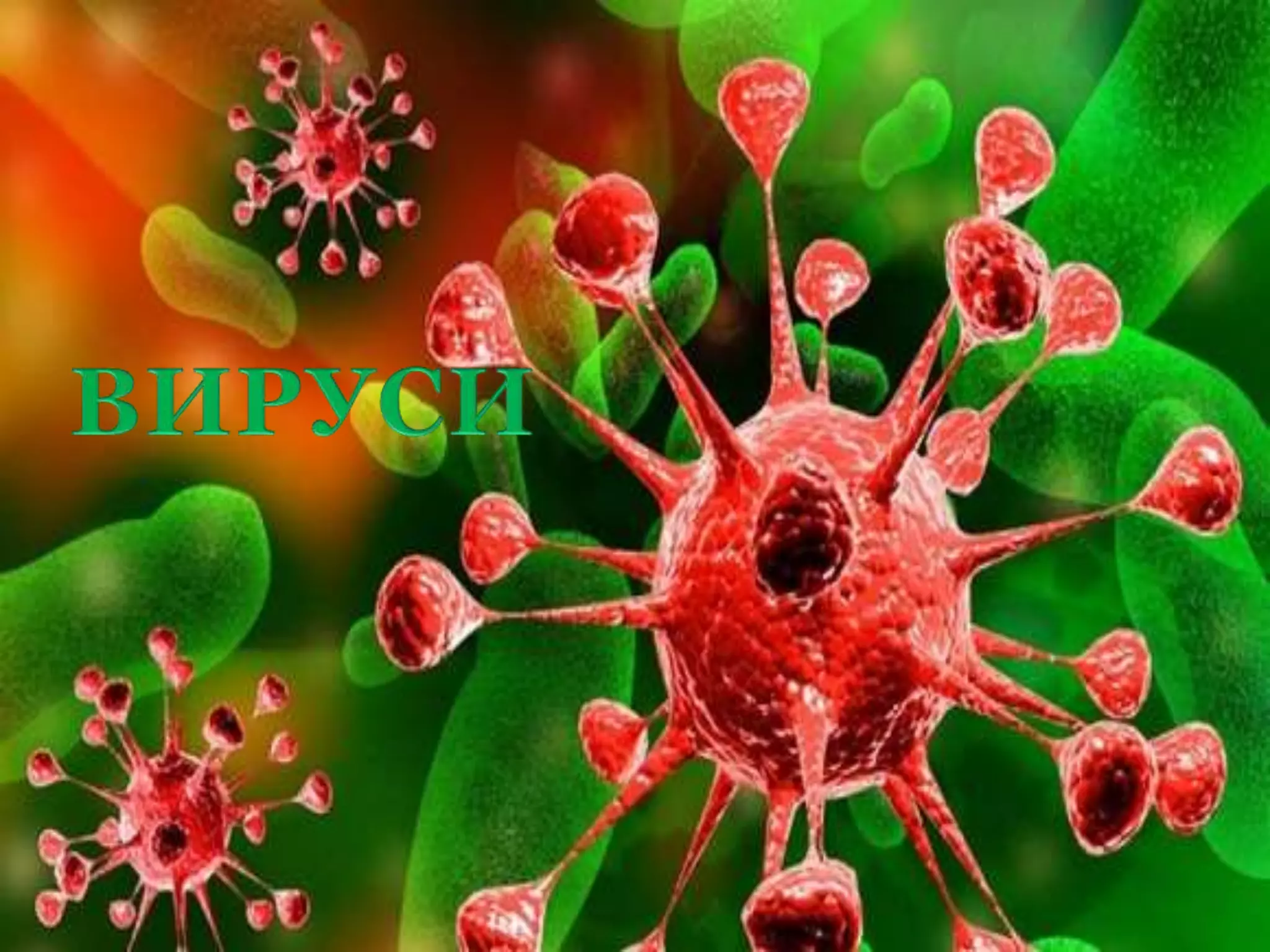 Virusi prezentacija | PPTX