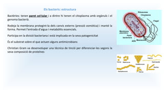 Virus i bacteris | PPT