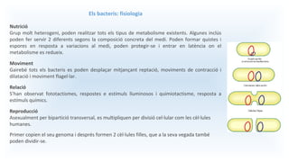 Virus i bacteris | PPT