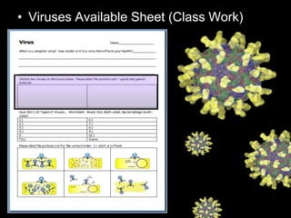 Virus Identification Visual Quiz, Viruses, Types of Viruses Biology ...