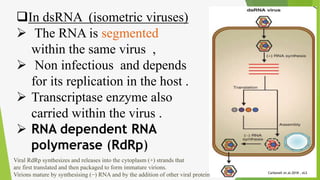 Virus infection and virus synthesis | PPTX