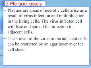 Presentation about Virus infectivity titeration-2.pdf