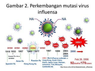 Virus influensa | PPTX