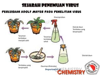 Virus influenza | PPTX