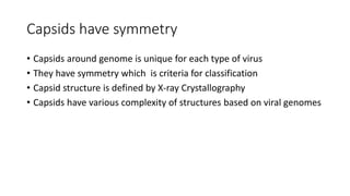 Virus, its types, classification and replication of virus | PPT