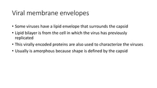 Virus, its types, classification and replication of virus | PPTX