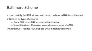 Virus, its types, classification and replication of virus | PPT