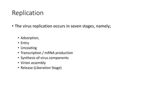 Virus, its types, classification and replication of virus | PPT