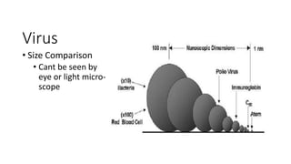 Virus, its types, classification and replication of virus | PPT