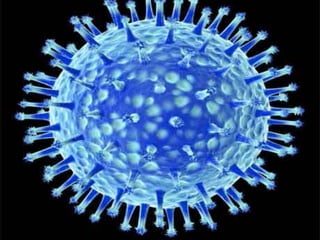 Introduction to Viruses | PPTX