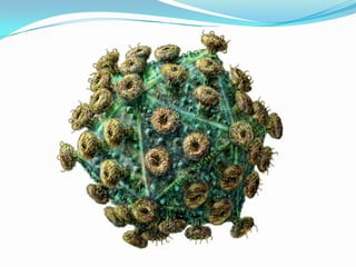 Introduction to Viruses | PPTX