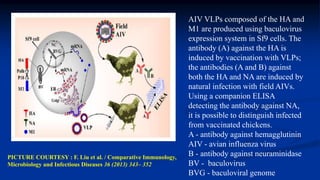 Virus like particles by eazhisai | PPT