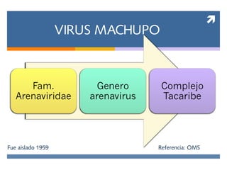 Virus machupo | PPT