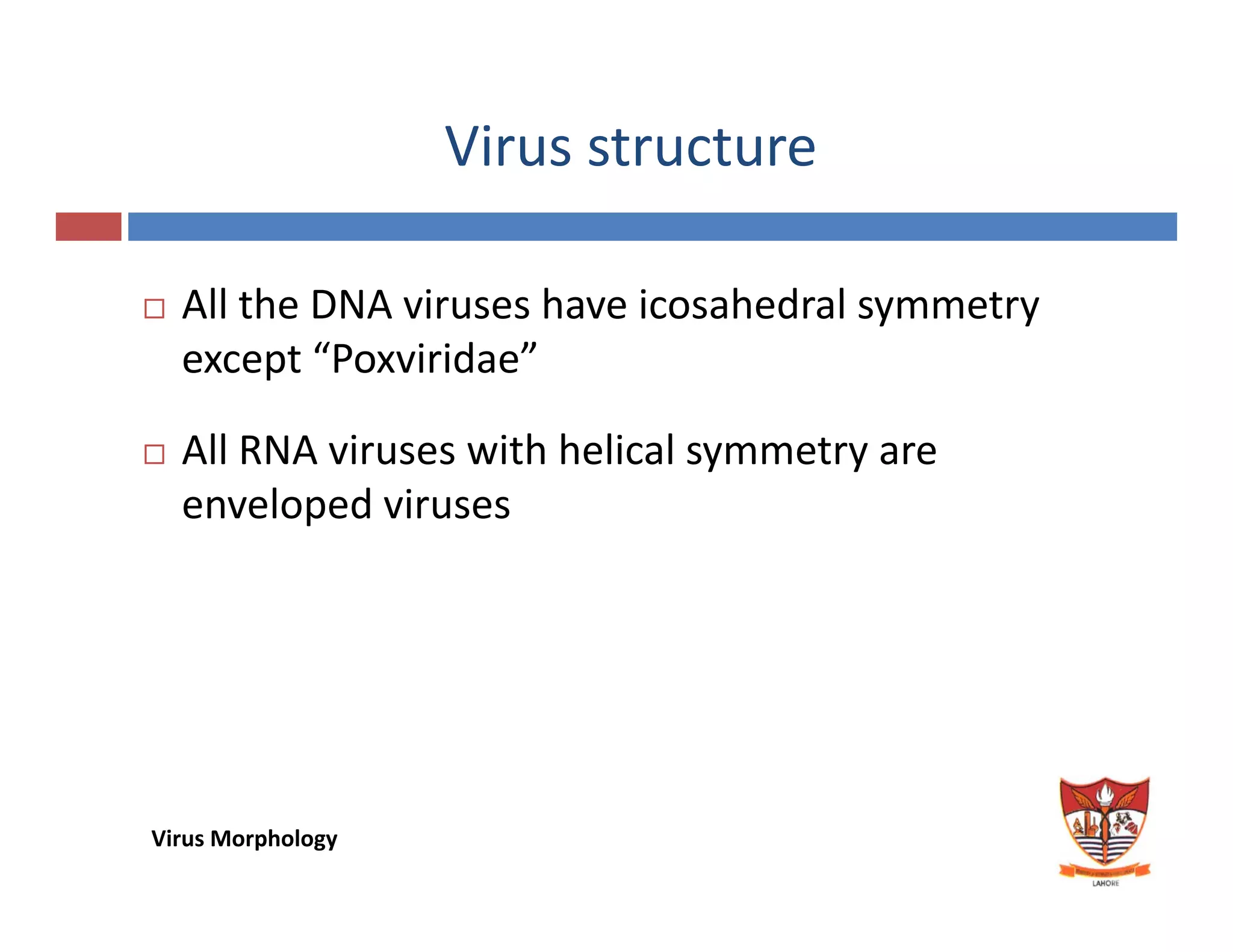 Virus morphology | PDF