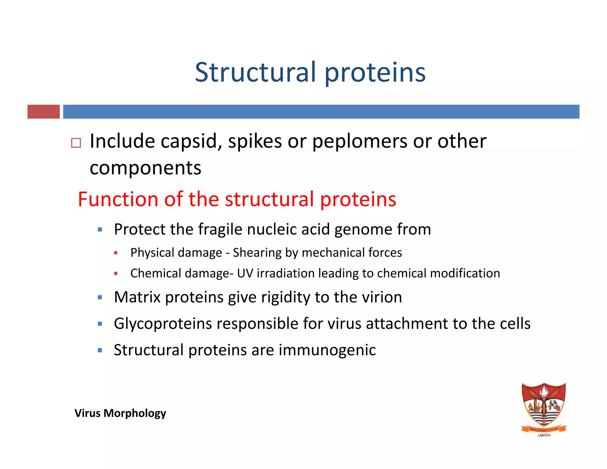 Virus morphology | PDF
