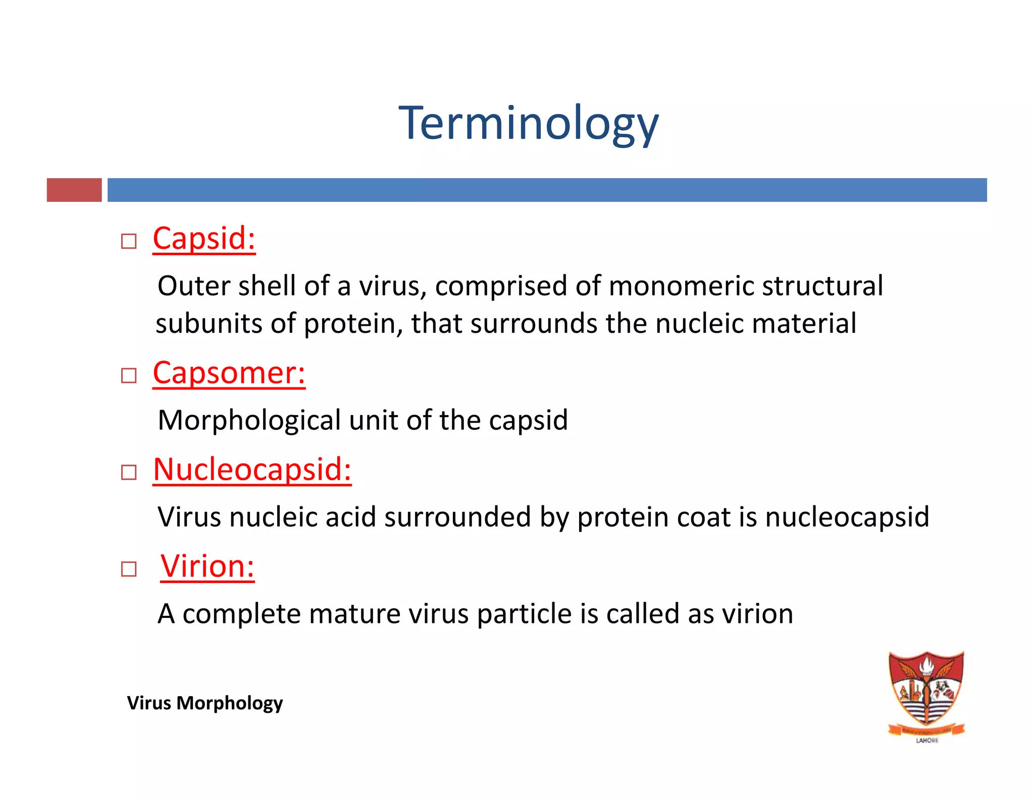 Virus morphology | PDF