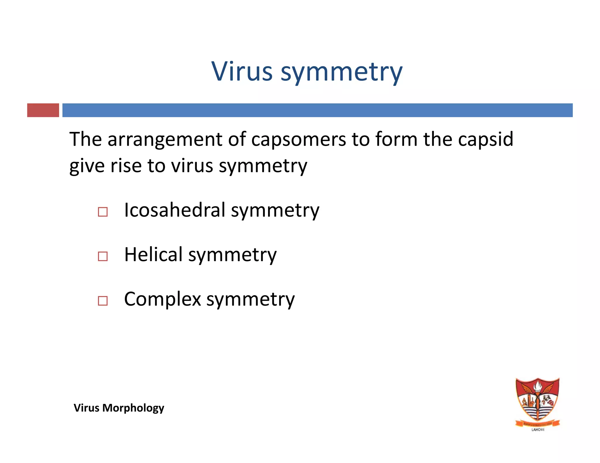 Virus morphology | PDF