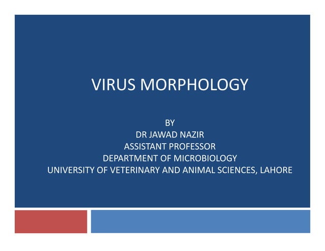 Virus morphology | PPT