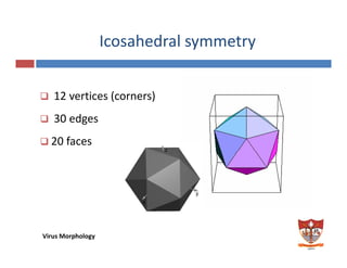 Virus morphology | PDF