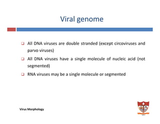 Virus morphology | PPT