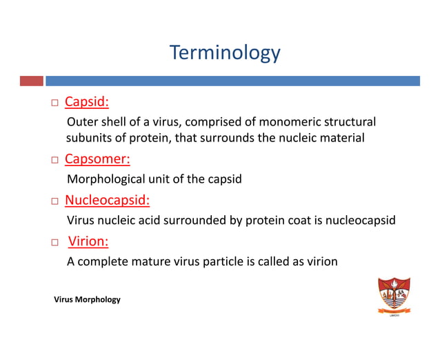 Virus morphology | PPT