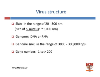 Virus morphology | PDF