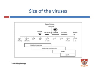 Virus morphology | PPT