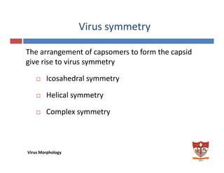 Virus morphology | PPT