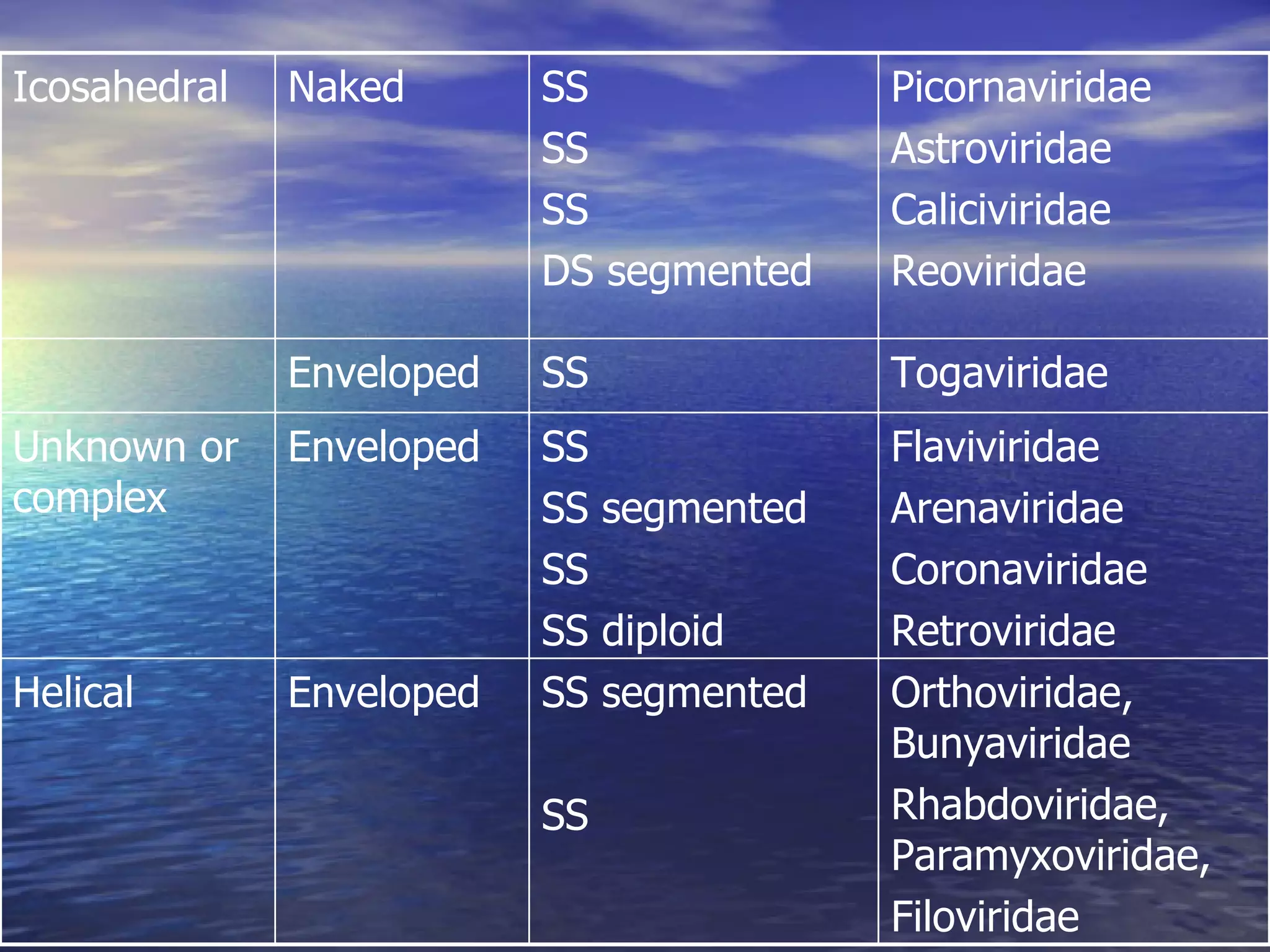 Virus morphology & classification | PPT