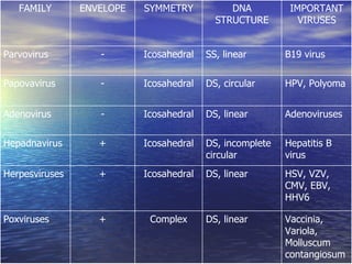 Virus morphology & classification | PPT