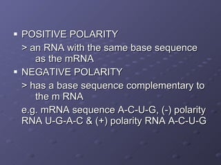 Virus multiplication cycle | PPT